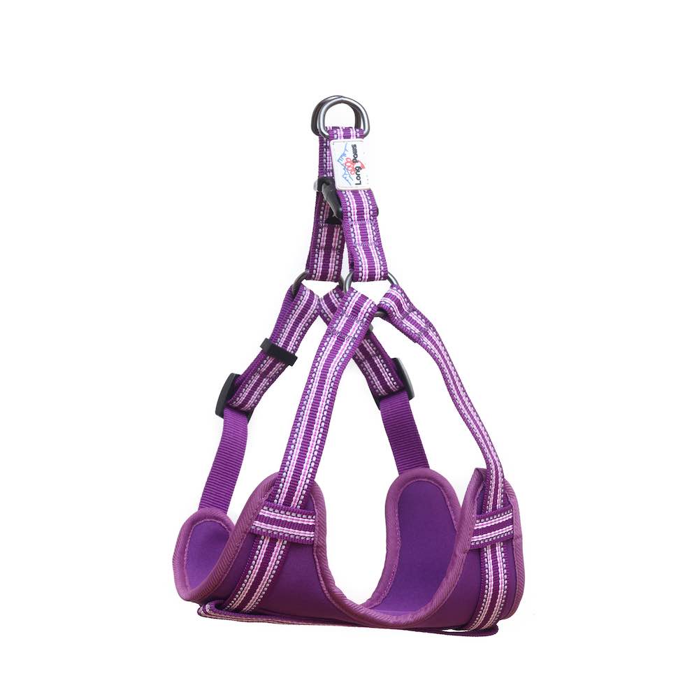 Ham Long Paws Comfort Collection Mov – PetGuru